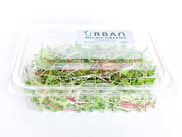 Micro Greens - Punnet – ATF Greens Limited - Online Fruits & Veg Shopping